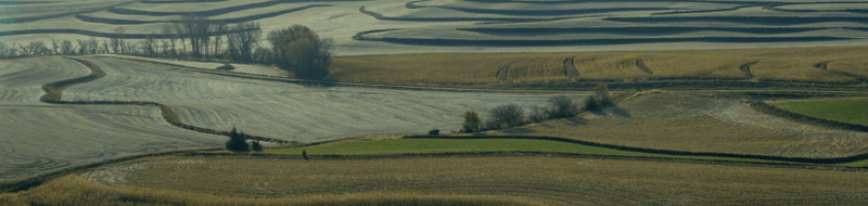 Watch The Short Film | Chipotle A Future Begins