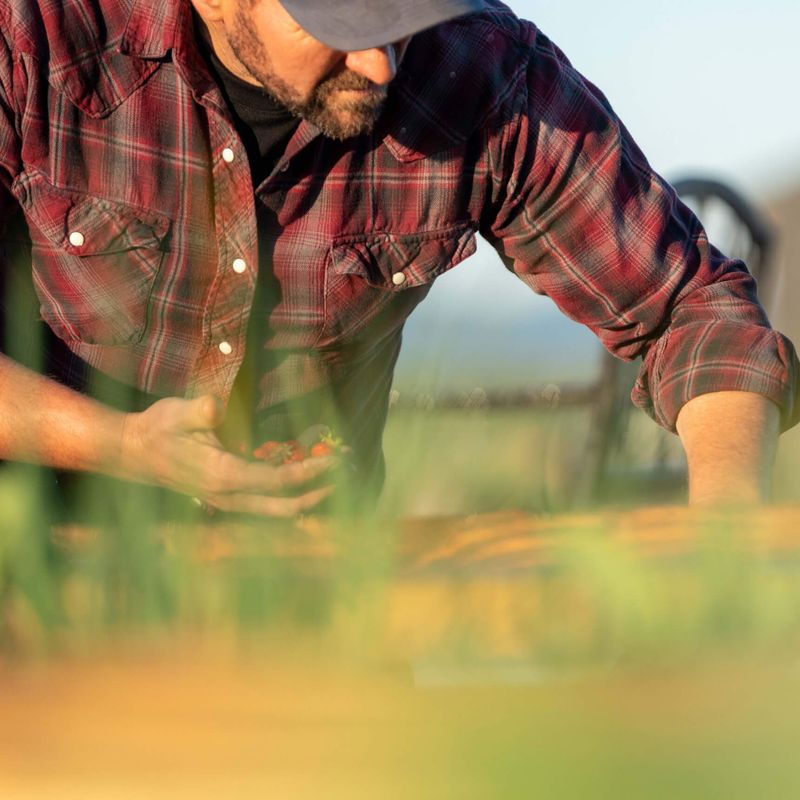 Chipotle Unfolded | Cultivate A Better World