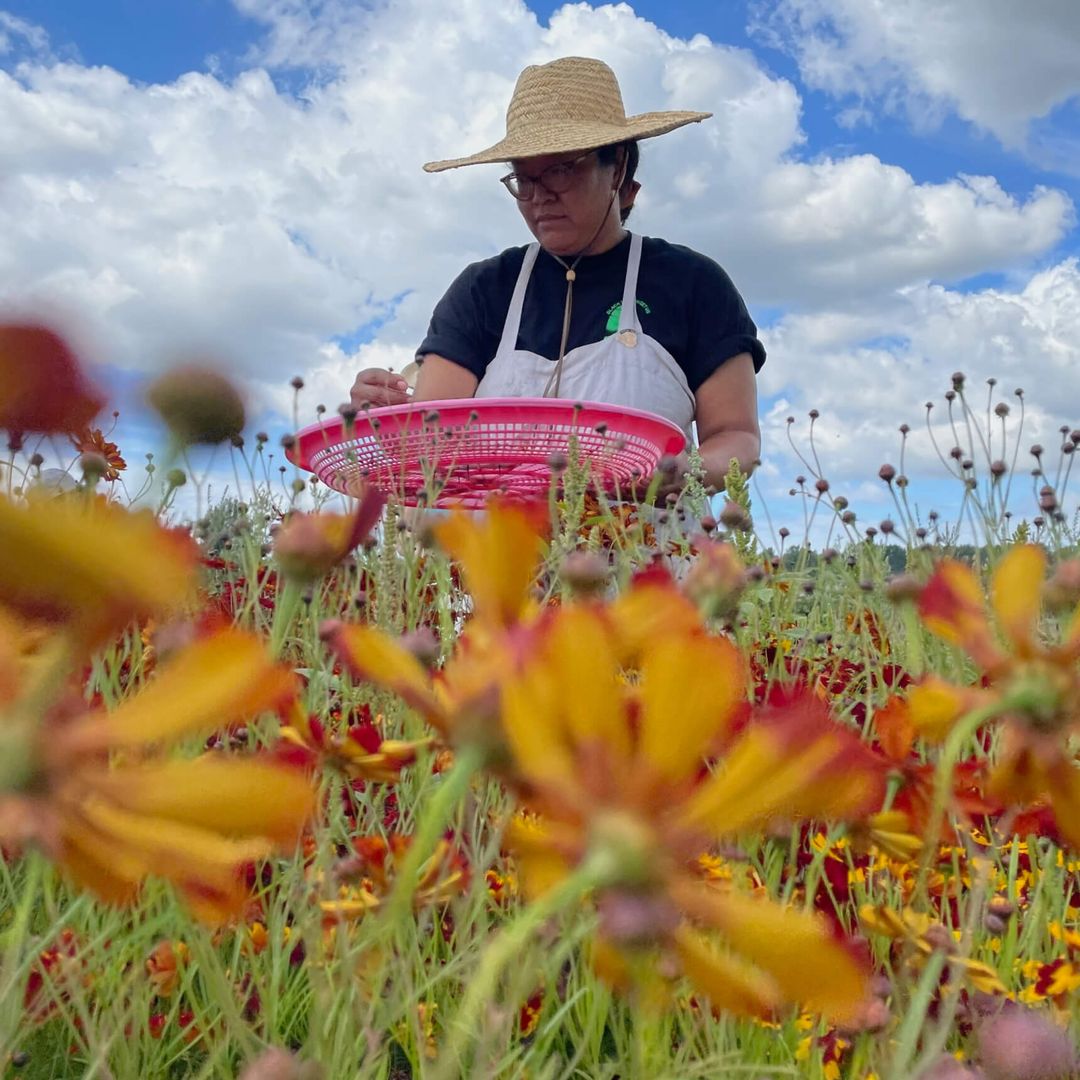 Chipotle Unfolded | Cultivate A Better World